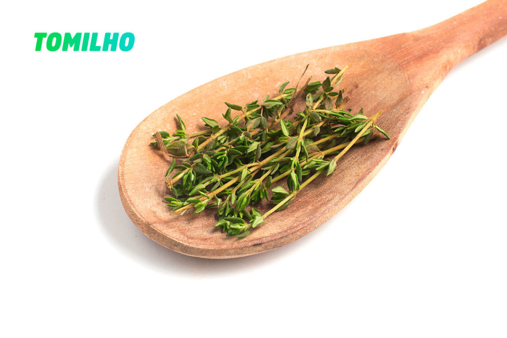 Tomilho: conheça os benefícios para a saúde