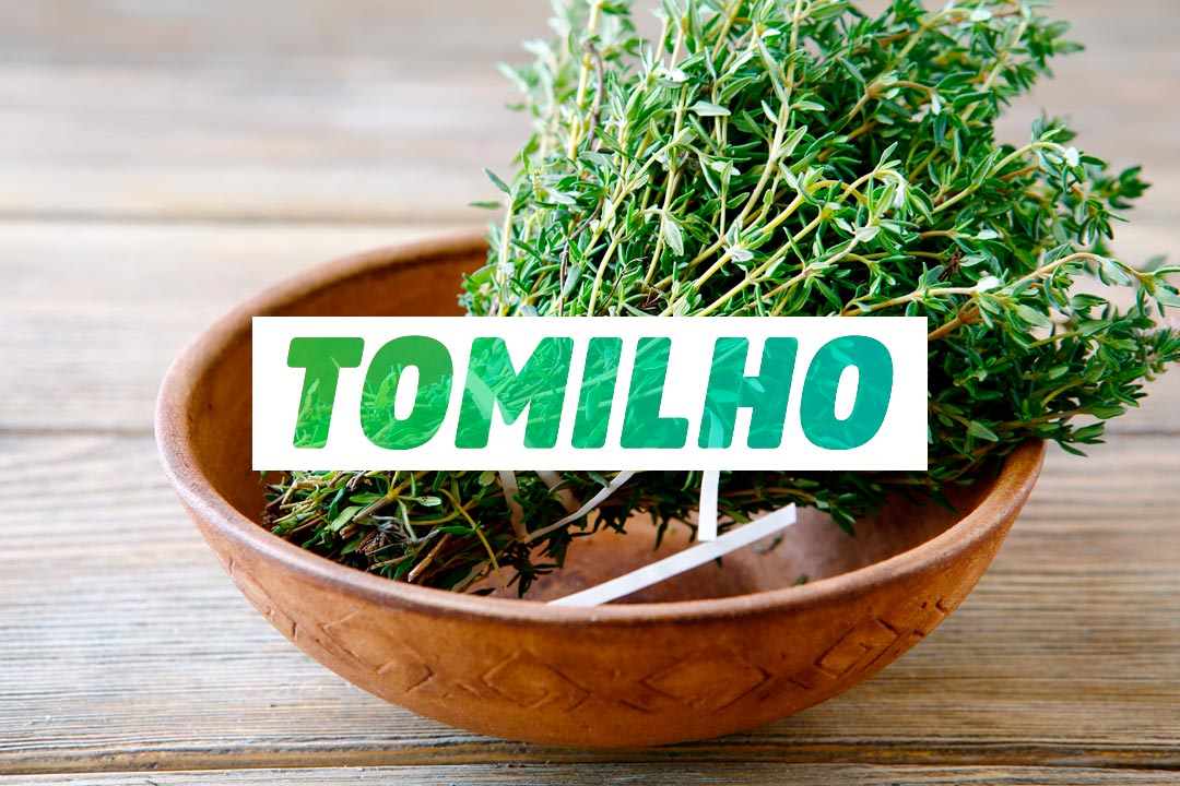 Tomilho: conheça os benefícios para a saúde. | Farfit