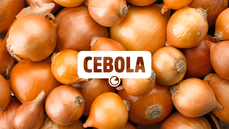 Cebola: benefícios, tipos e como consumir