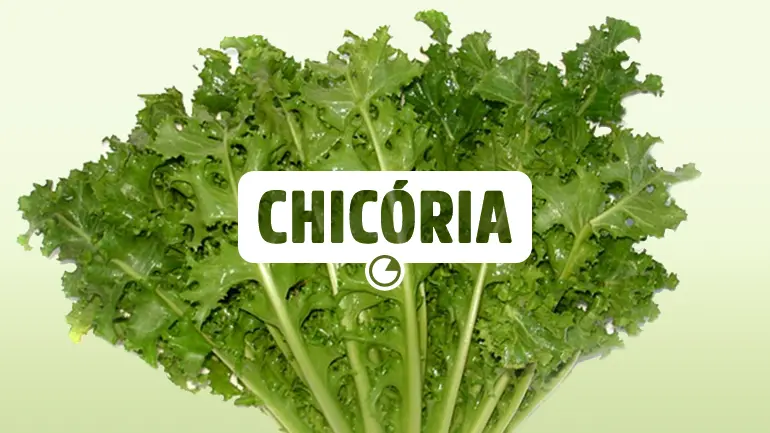 Chicória: para que serve, benefícios e como consumir