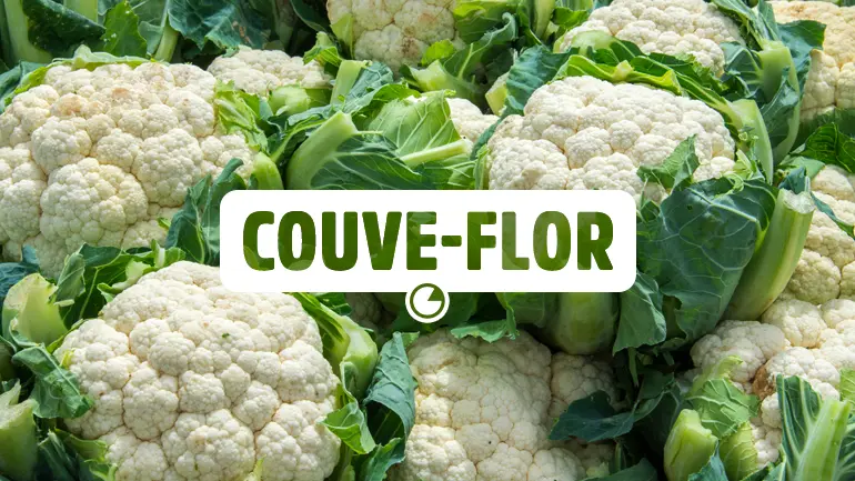 Couve-Flor: para que serve, benefícios e como consumir