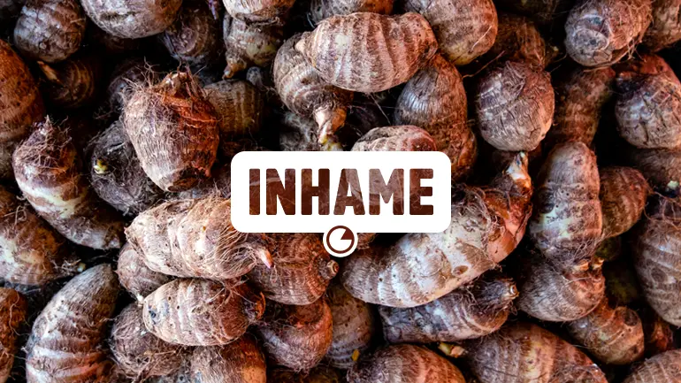 Inhame: benefícios para a saúde e como consumir