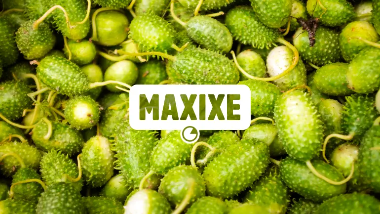 Maxixe: benefícios para a saúde e como consumir