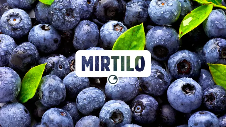 Mirtilo ou Blueberry: o que é, benefícios e como consumir