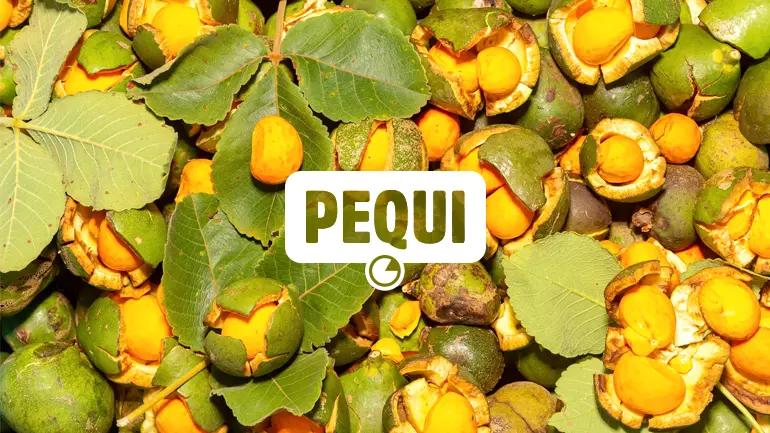 Pequi: benefícios da fruta para a saúde e como consumir