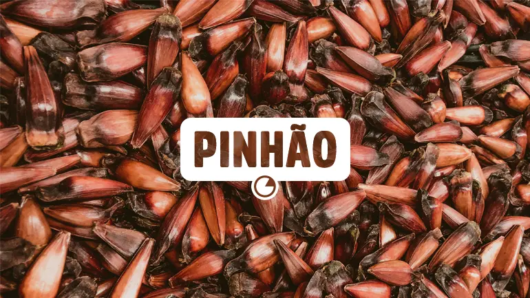 Pinhão: para que serve, benefícios e como consumir
