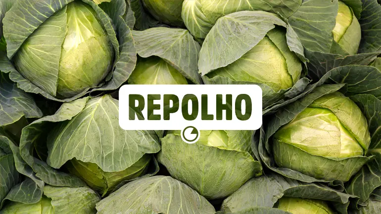Repolho: benefícios para a saúde e como consumir