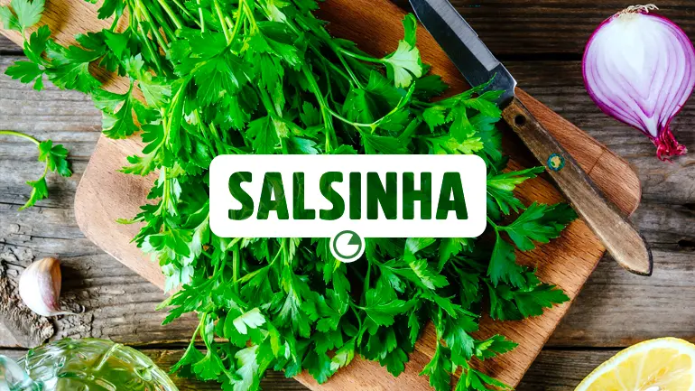 Salsinha: benefícios para a saúde e como consumir