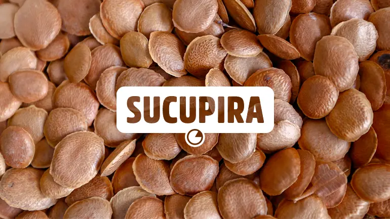 Sucupira: para que serve, benefícios e como consumir