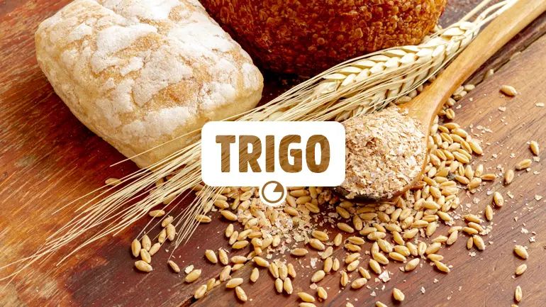 Trigo: conheça os benefícios e como consumir
