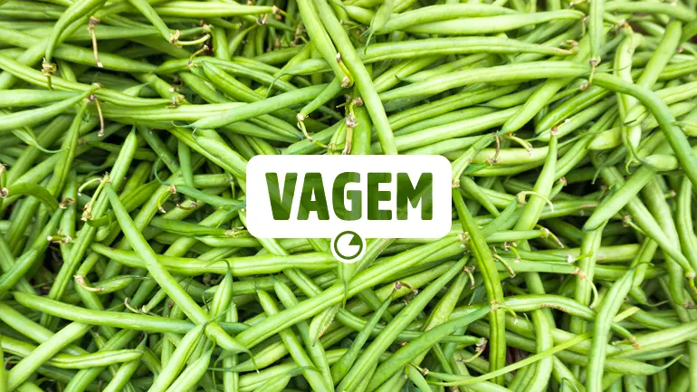 Vagem: o que é, benefícios e como consumir