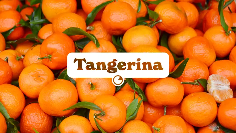 Tangerina ou Mexerica: conheça os benefícios e como consumir