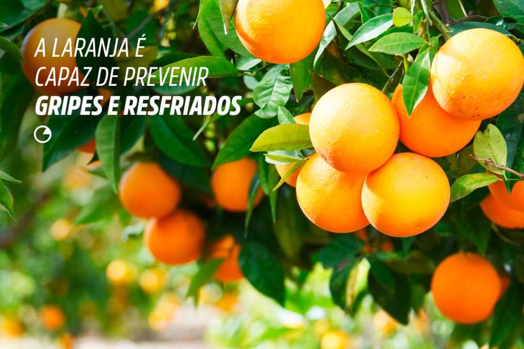 Laranja: benefícios, tipos e os principais nutrientes