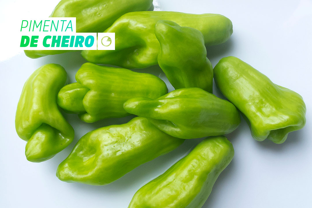 Pimenta: variedades, benefícios e receitas deliciosas. - Farfit ...